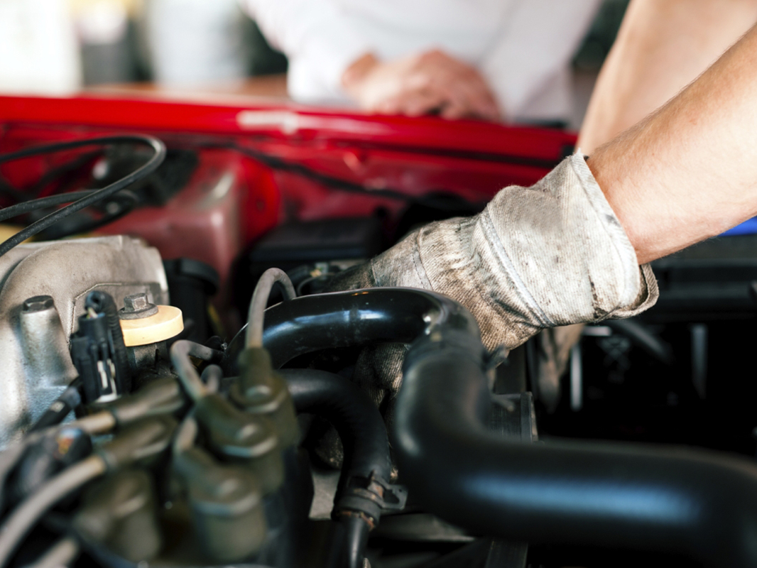 პროფესიული კოლეჯი მოდუსი - ტექნიკური და პროფესიული განათლება და ...